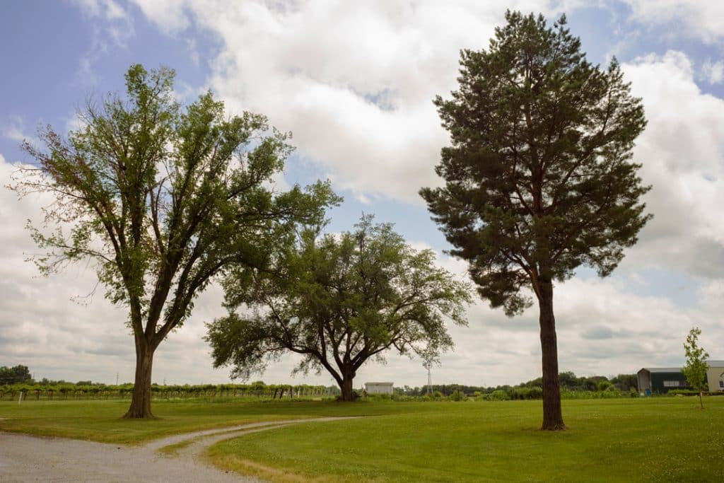 University Farm - Truman State University