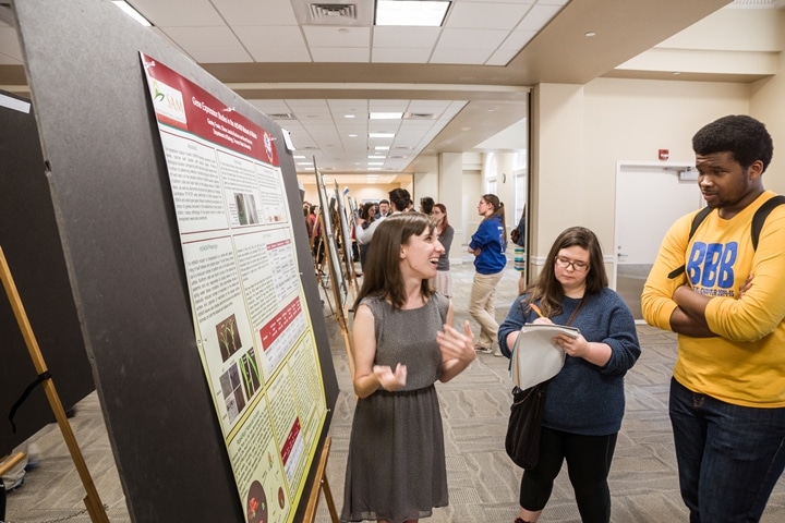 2015 Student Research Conference - Truman State University
