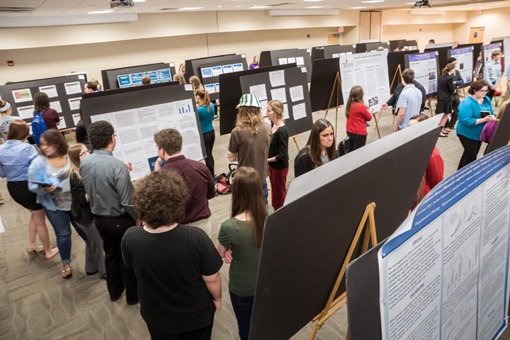 2015 Student Research Conference - Truman State University