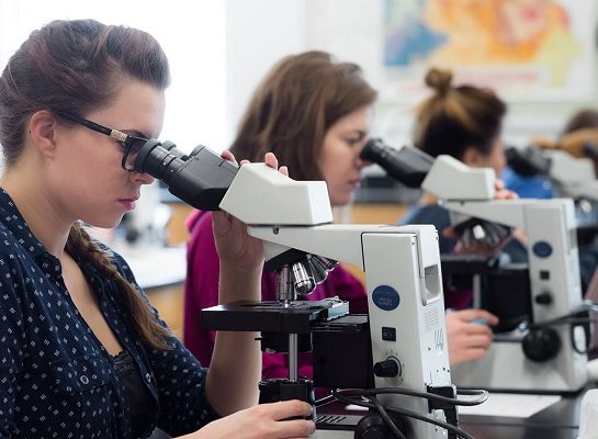 Truman State University’s Majors & Programs