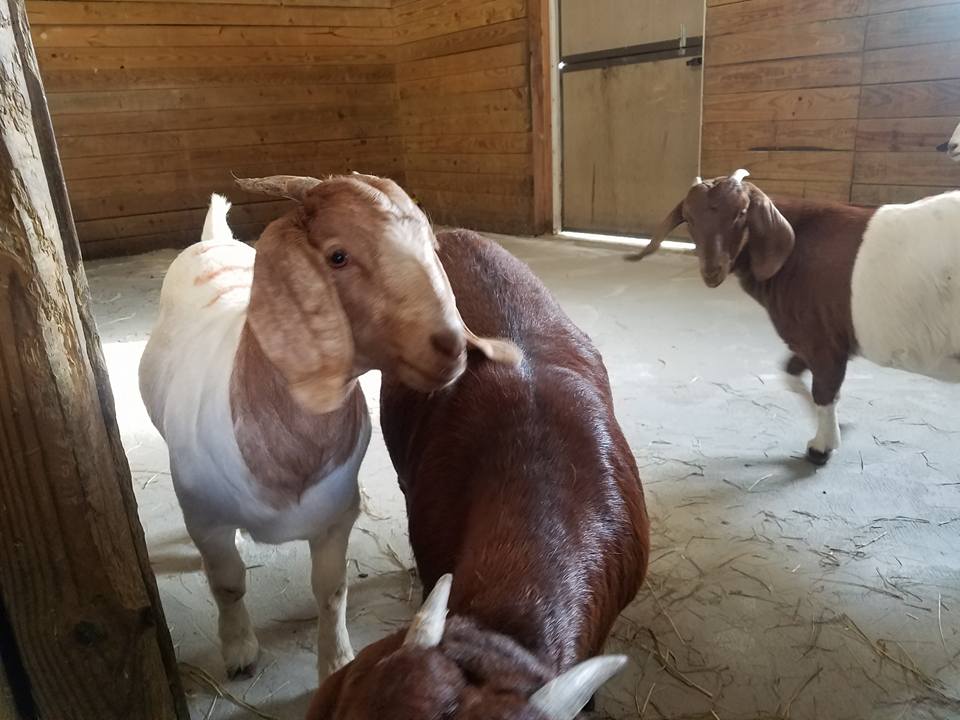 University Farm - Truman State University