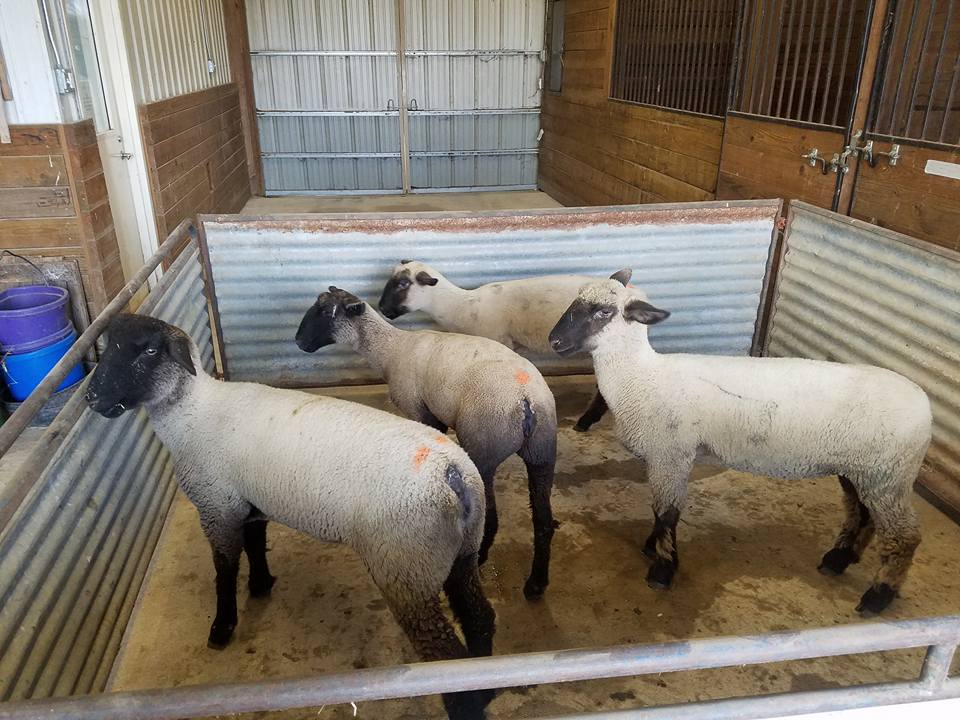 University Farm - Truman State University